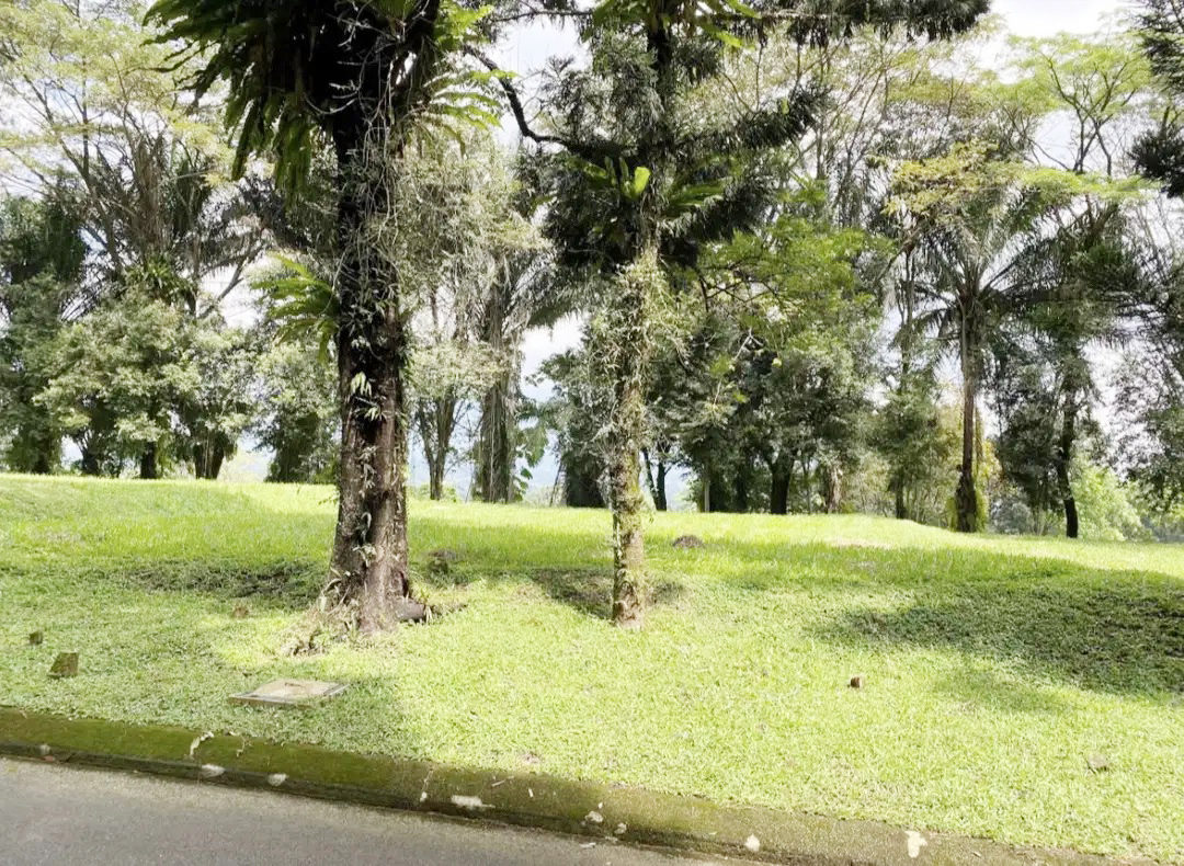 Tanah Dijual Di Rancamaya Estate Cluster Juniper Forest Dekat Highscope ...